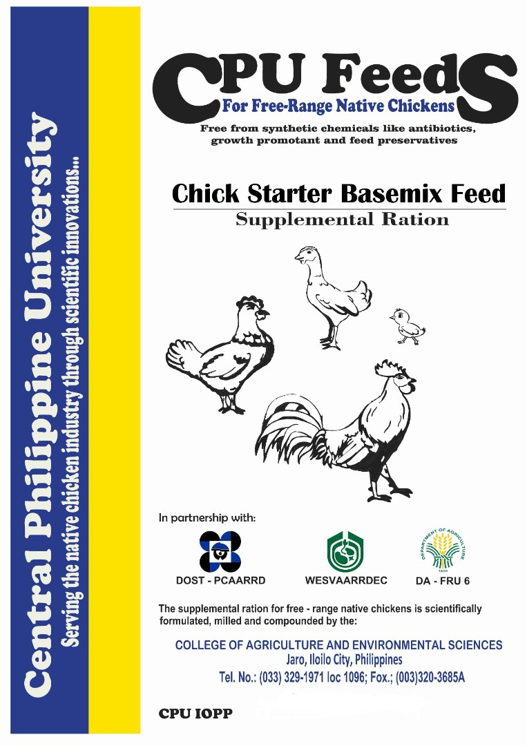 The Philippine Native Chicken