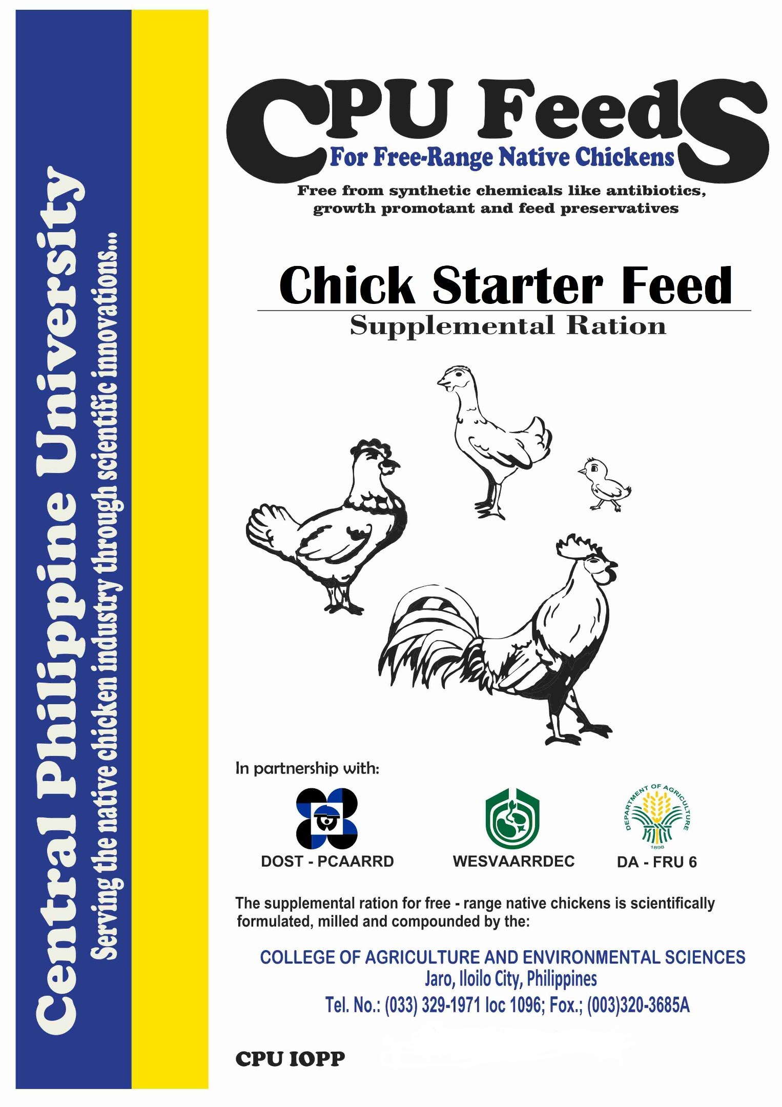 The Philippine Native Chicken